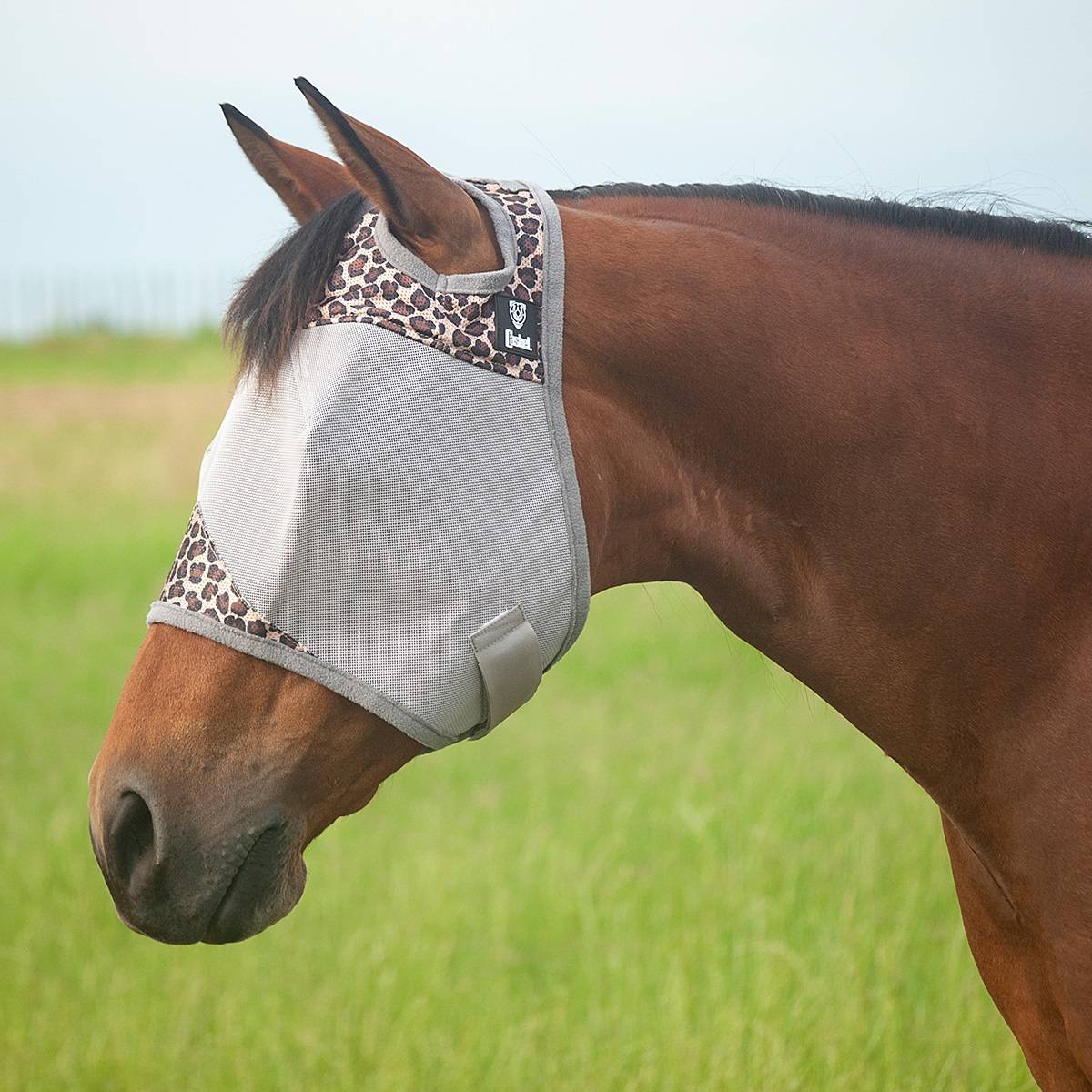 CASHEL Crusader Leopard Warmblood Standard Fly Mask (CFMWBS-20LP) for ...