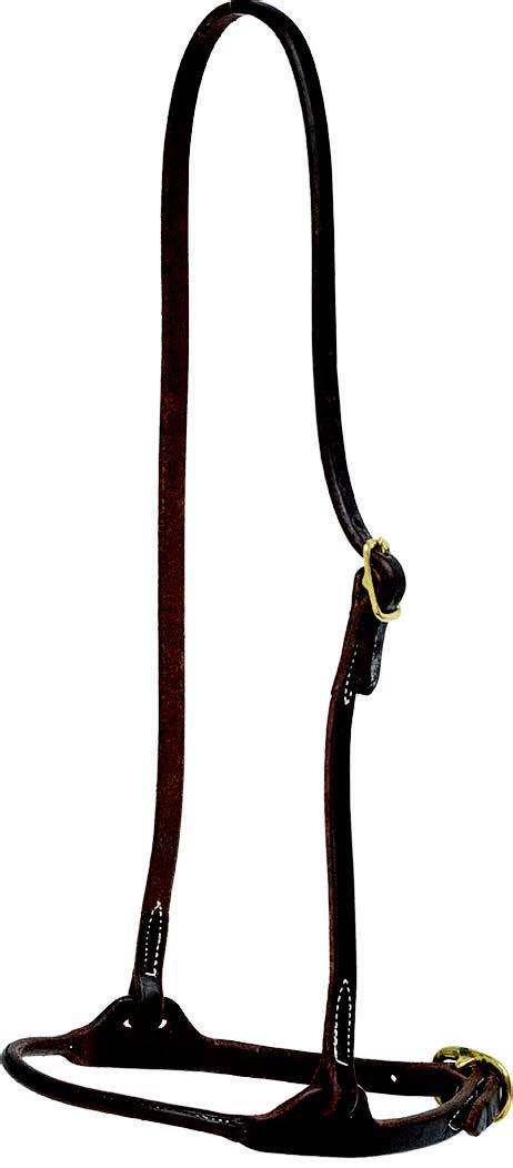 Flat Nose Adjustable Caveson Clamp 6 Tipos De Flats Que Debes Conocer ...