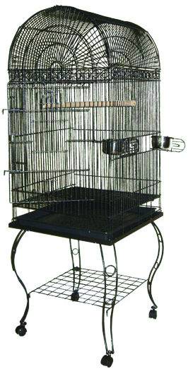 Company Economy Dome | Cage