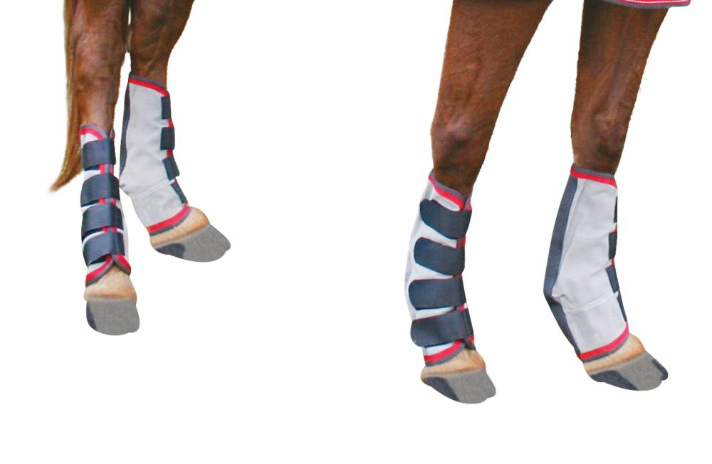 Reinsman Fly Leg Guards - Set of Four | HorseLoverZ