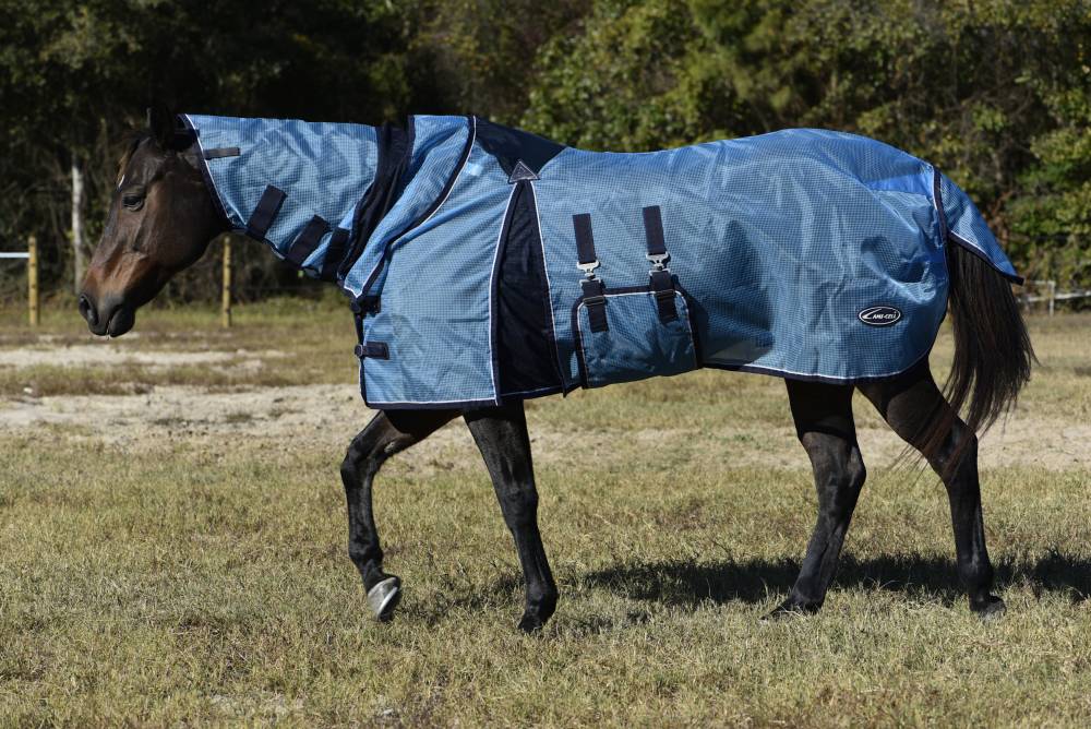 Anti Fly Sheet Pro Fit Full Cover HorseLoverZ anti-fly-sheet-pro-fit-full-cover-horseloverz